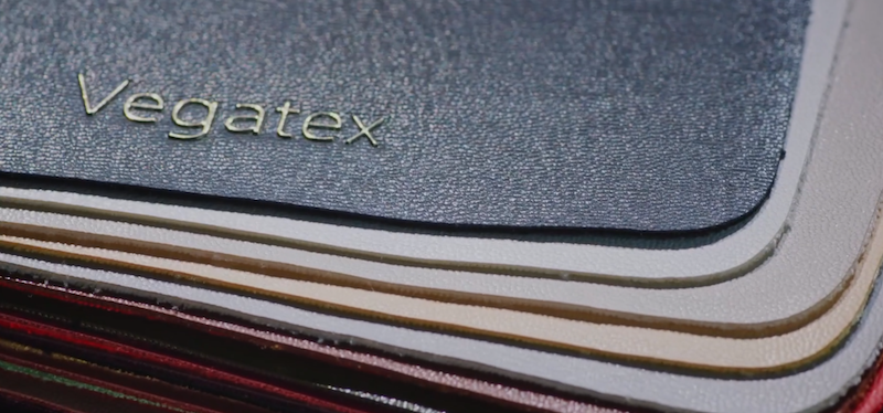 11. Implications and applications - Emma Picanyol